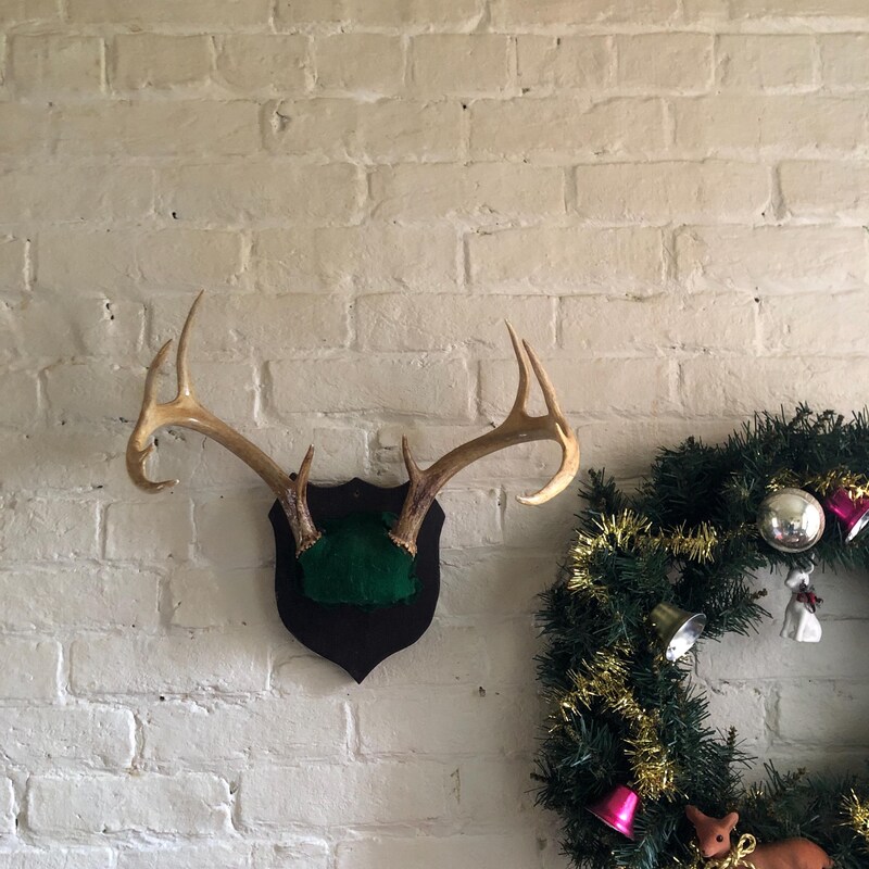 Mounted Deer Antlers - Etsy