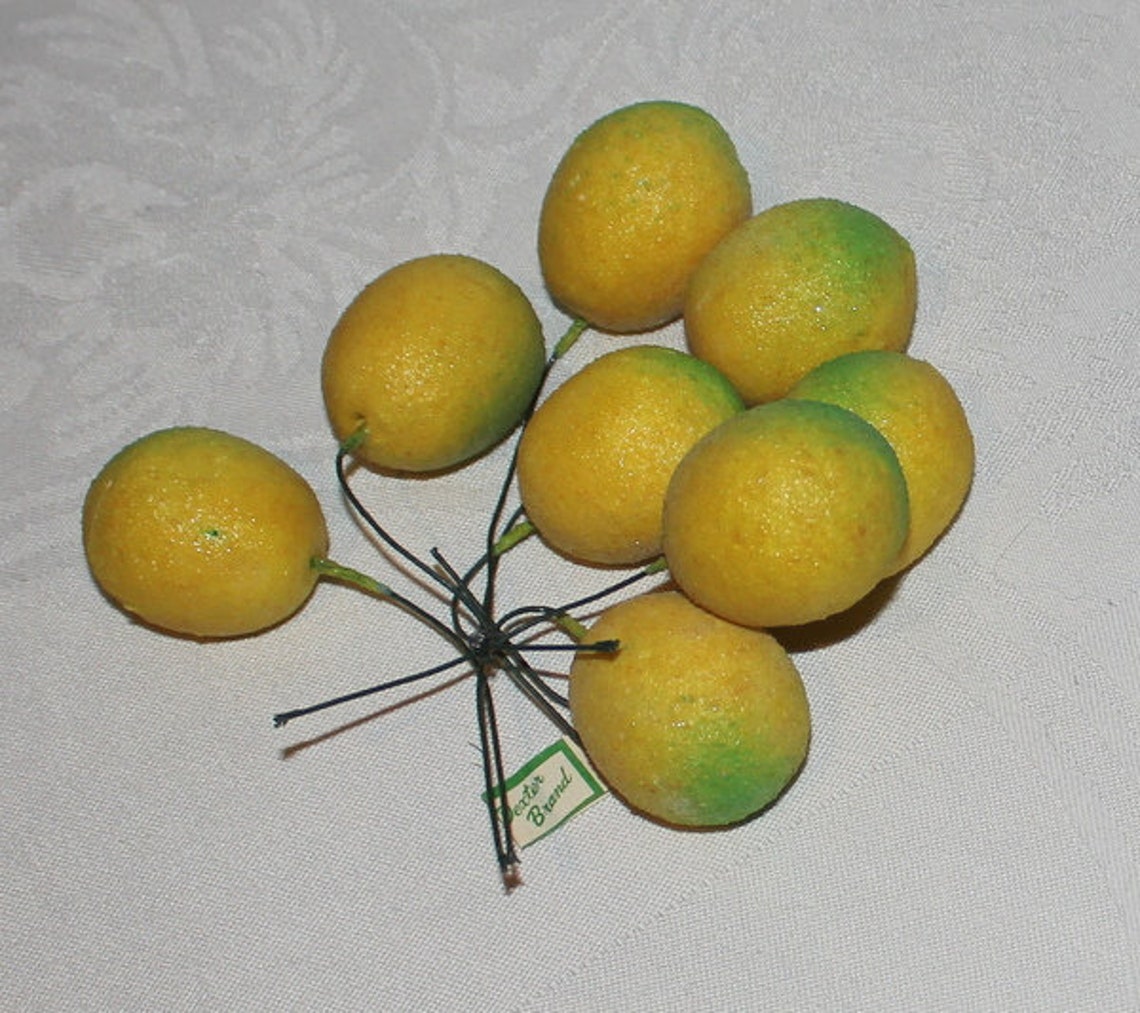 48 NOS Fruit Cherry Lemon Grape Apple Orange Peach Lee Wards | Etsy