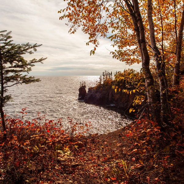 Minnesota Landscape - Etsy