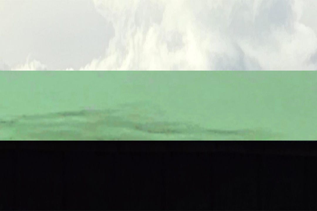 Neutrois Pride Flag in Jpeg Format Suitable for Use on All Devices - Etsy