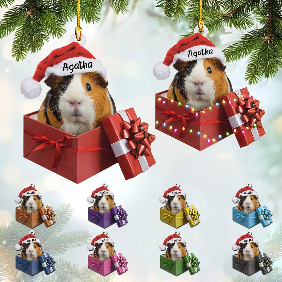 Custom Name Guinea Christmas Ornament - Plastic Ornament Cute Guinea ...