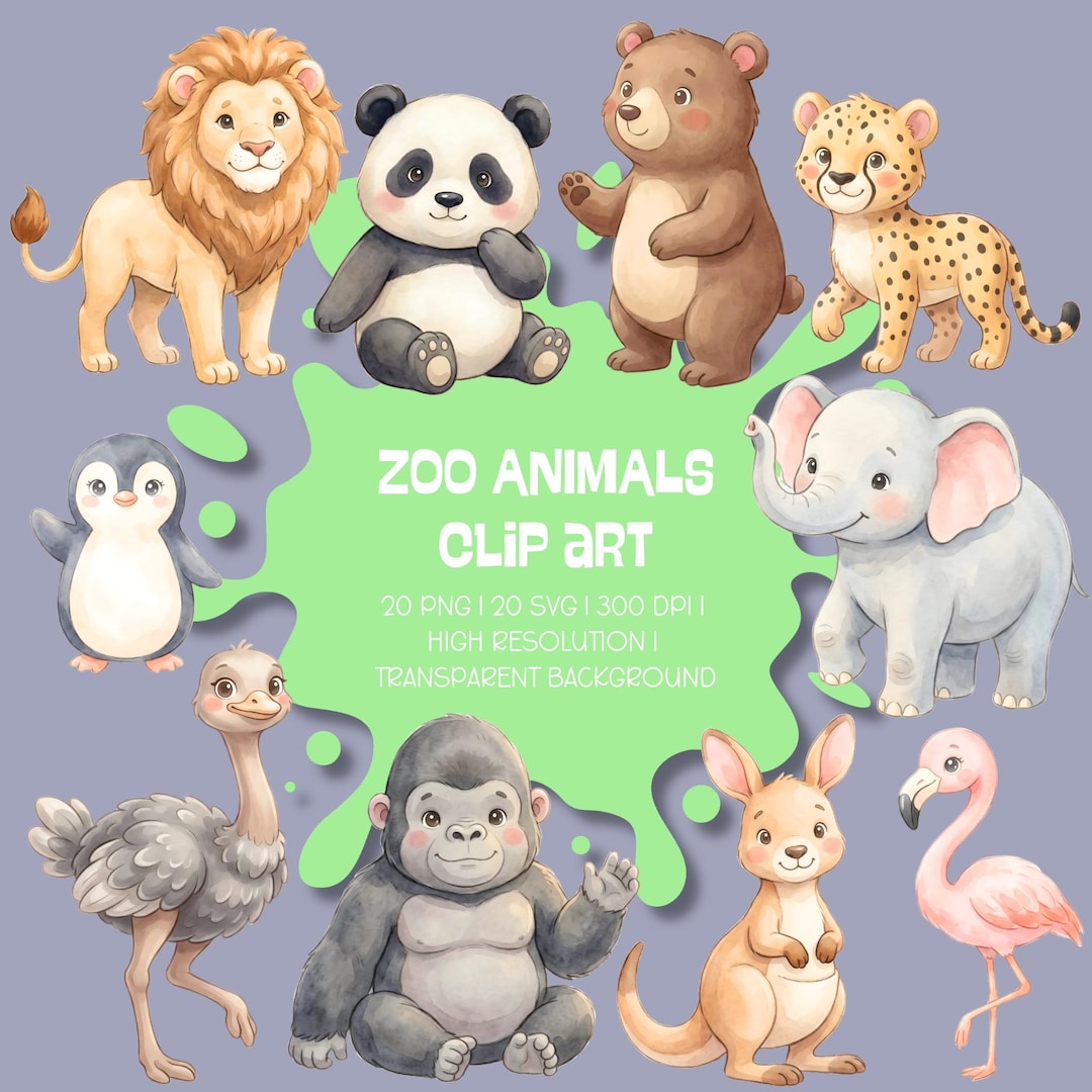 Zoo Animal Clipart PNG and SVG Set: Safari Jungle Kids Graphics - Etsy