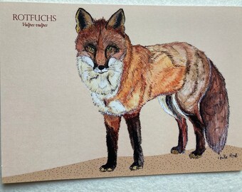 Fox Postcard | Etsy