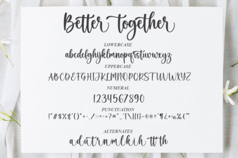 Better Together Font.every Letter Has a Unique and Beautiful Touch ...