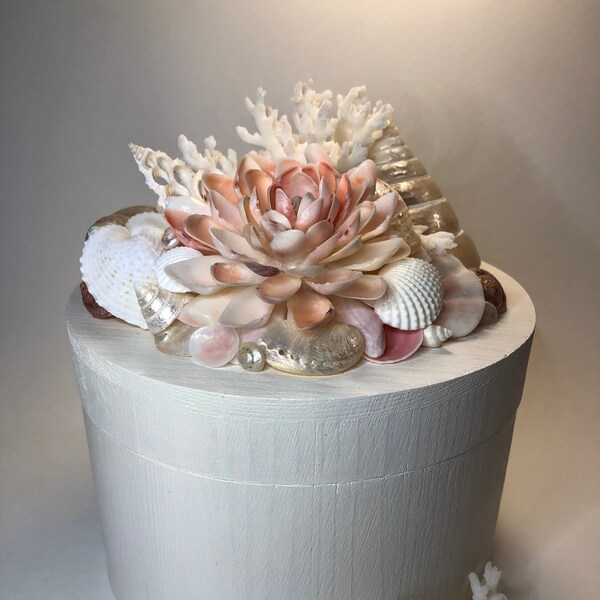 Seashell Display Box - Etsy