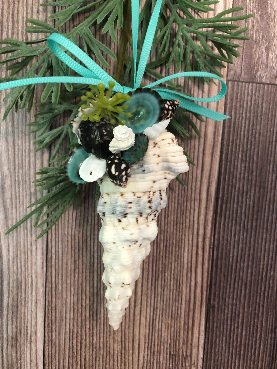 Cerith Seashell With Shells and Greenery, Beach Christmas Ornaments - Etsy