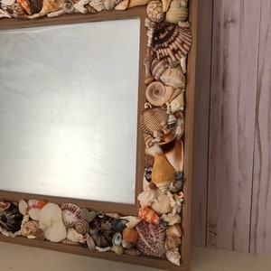 Washed Ashore Square Hand Painted Seashell Mirror, Seashell Decor ...