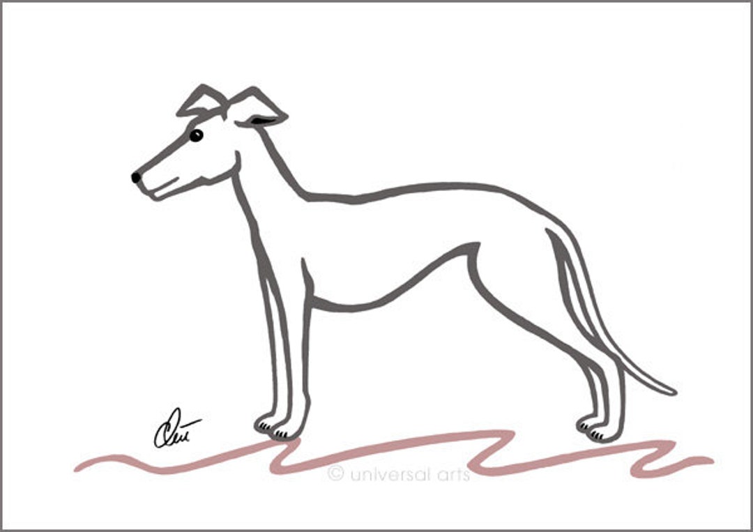 Jacqueline Ditt - "Whippet - outline" gráfico original Art Print ...