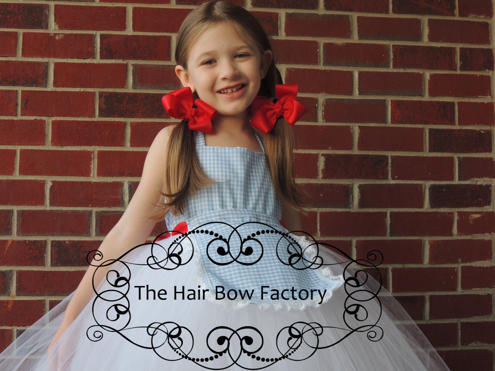 The Hair Bow Factory Blue and White Gingham Dorothy Tutu Dress - Etsy