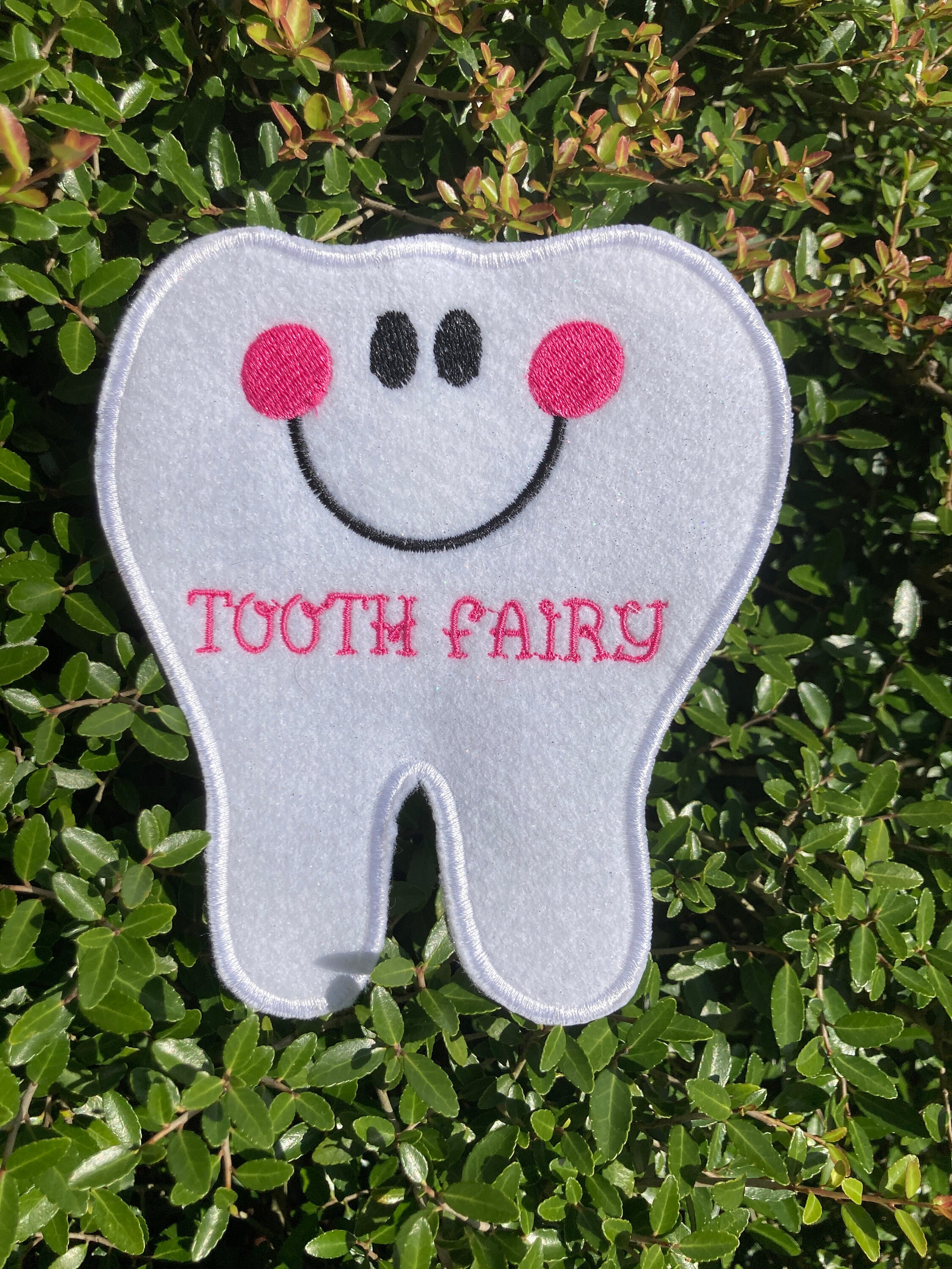 Tooth Fairy Craft