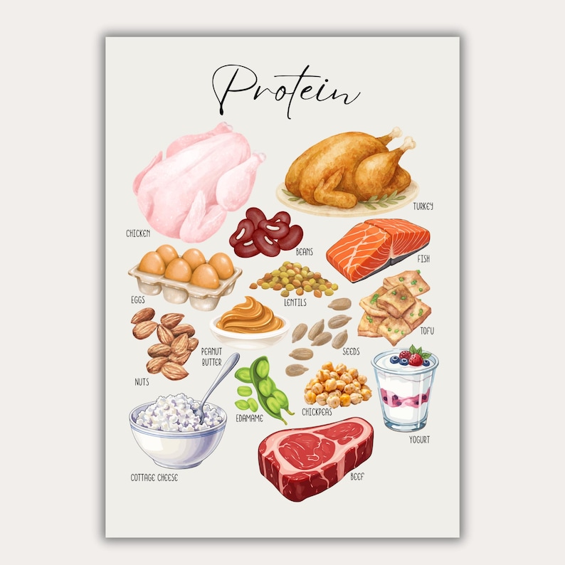 5 Food Groups Poster Set, Food Group Poster, Nutrition Poster, Healthy ...