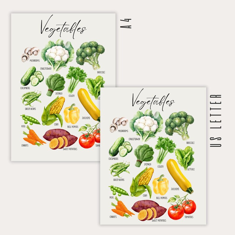 5 Food Groups Poster Set, Food Group Poster, Nutrition Poster, Healthy ...