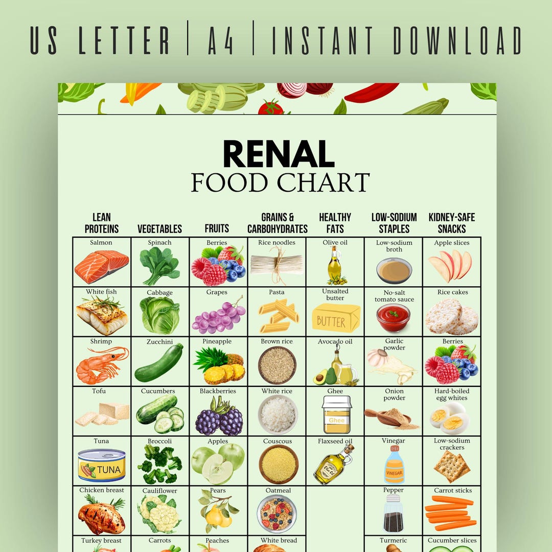 Renal Diet Chart, Kidney Food Guide, CKD Nutrition Visual Printable - Etsy
