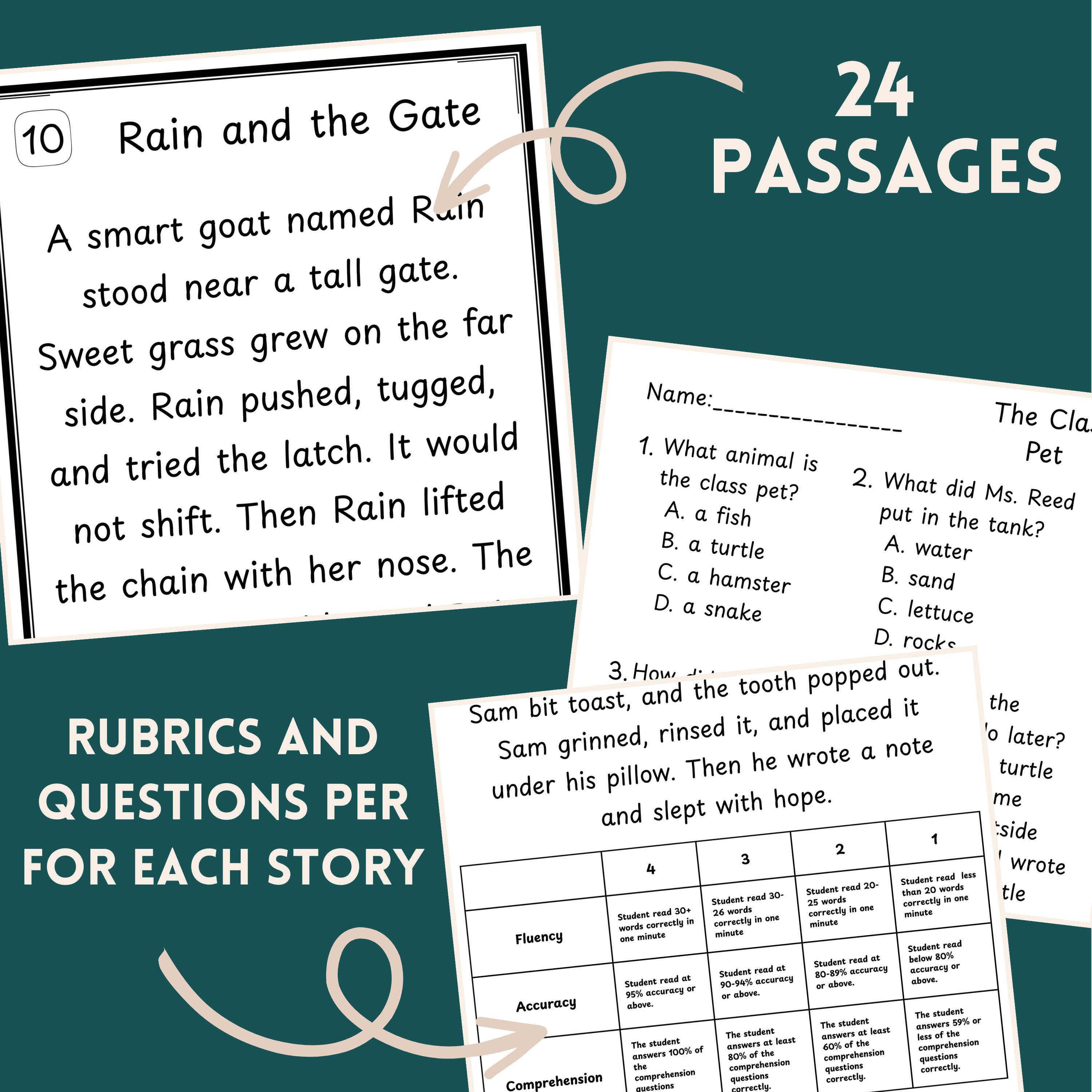 1st Grade Reading Passages & Comprehension | Fluency + Assessment ...