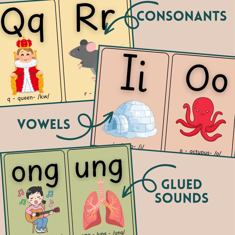 Color Coded Phonics Sound Cards | Vowels, Consonants, Glued Sounds - Etsy