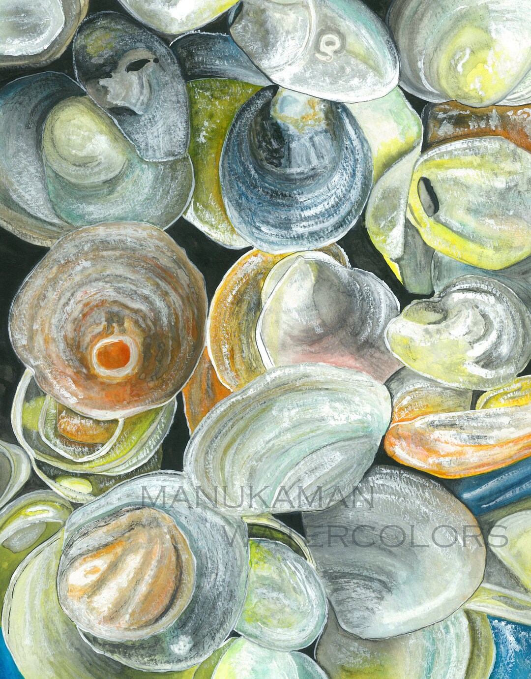 Cape Cod Jingle Shells Print of a Watercolor by Damon Crook (7.5 X 9.5 ...
