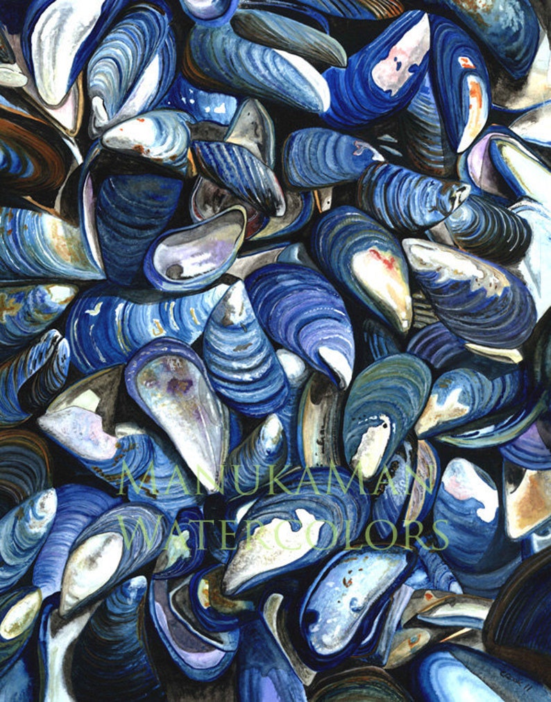 Print of Mussels. From Original Watercolor by Damon Crook (11 X 14) - Etsy
