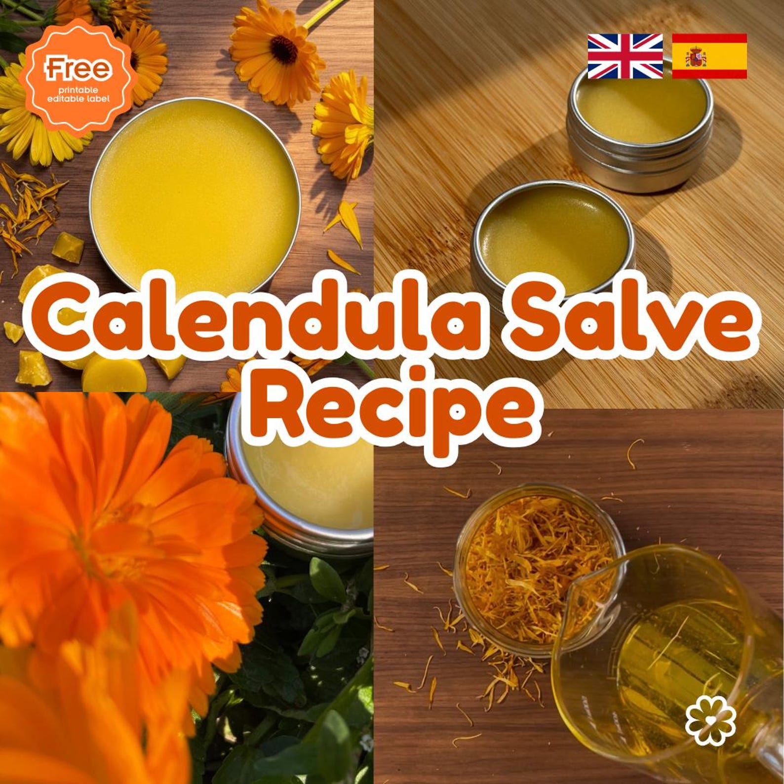 Calendula Salve Recipe, Printable Label, DIY Herbal Balm Tutorial With ...