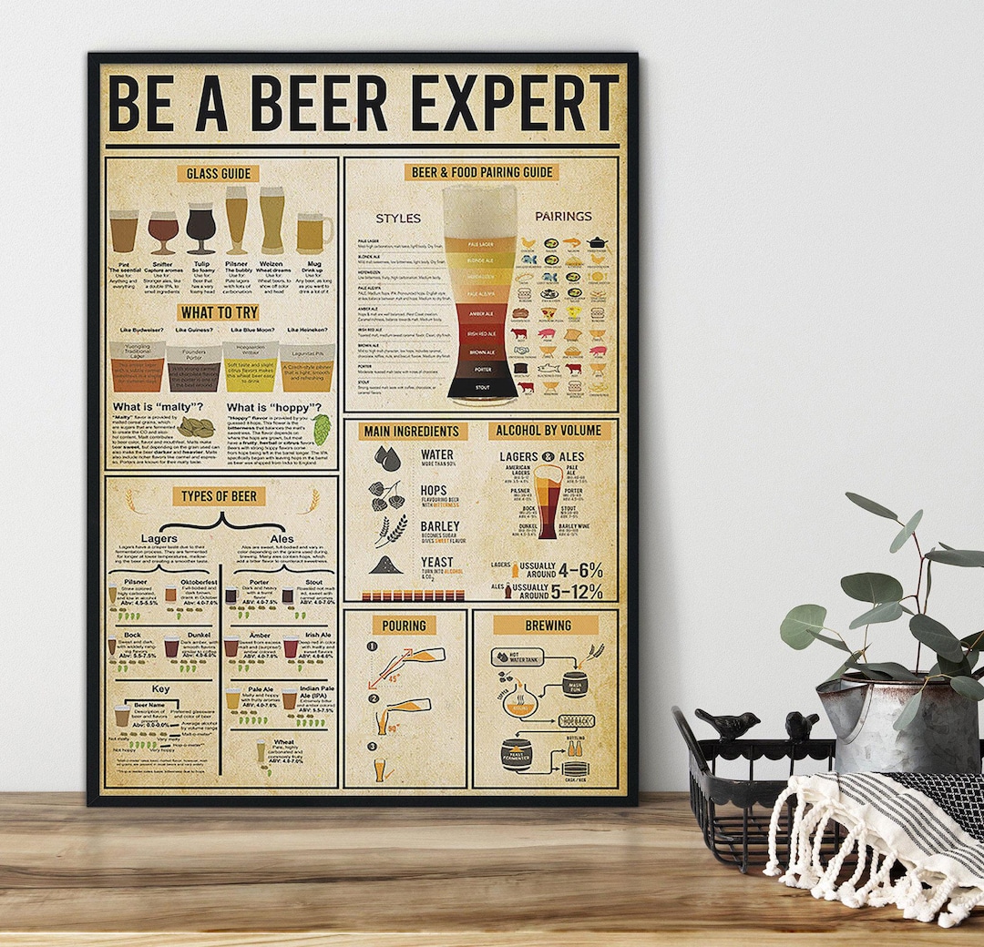 Be A Beer Expert Poster Or Canvas Beer Knowledge Wall Art Types Of