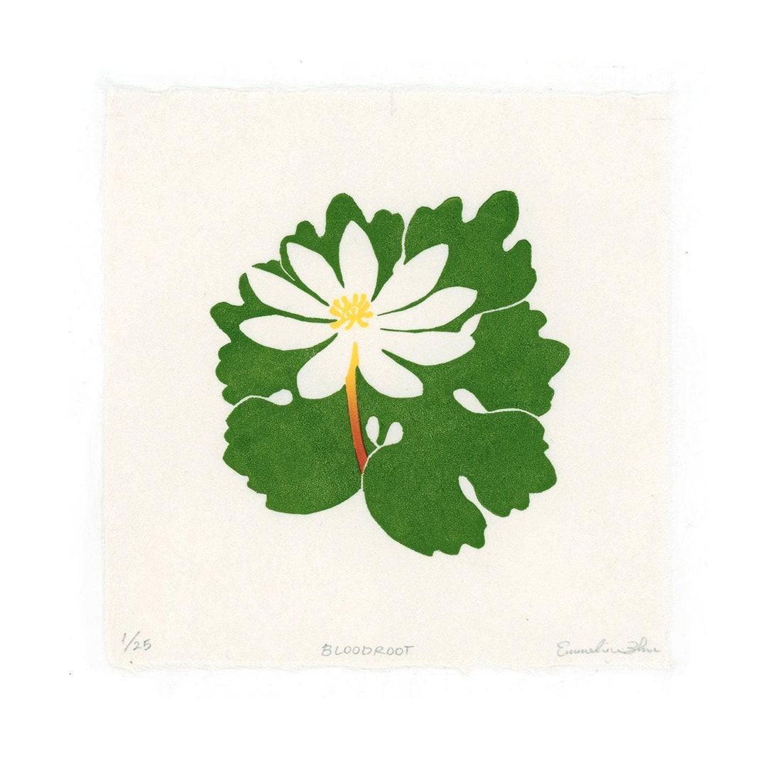 BLOODROOT - Color Linocut Relief Print - Etsy