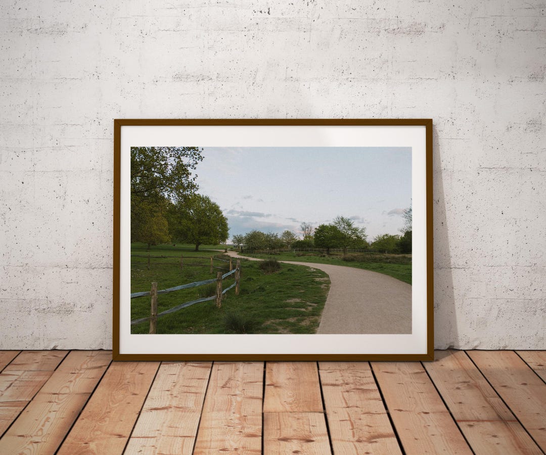 Winding Path, Richmond Park, London - Photo Print - Etsy