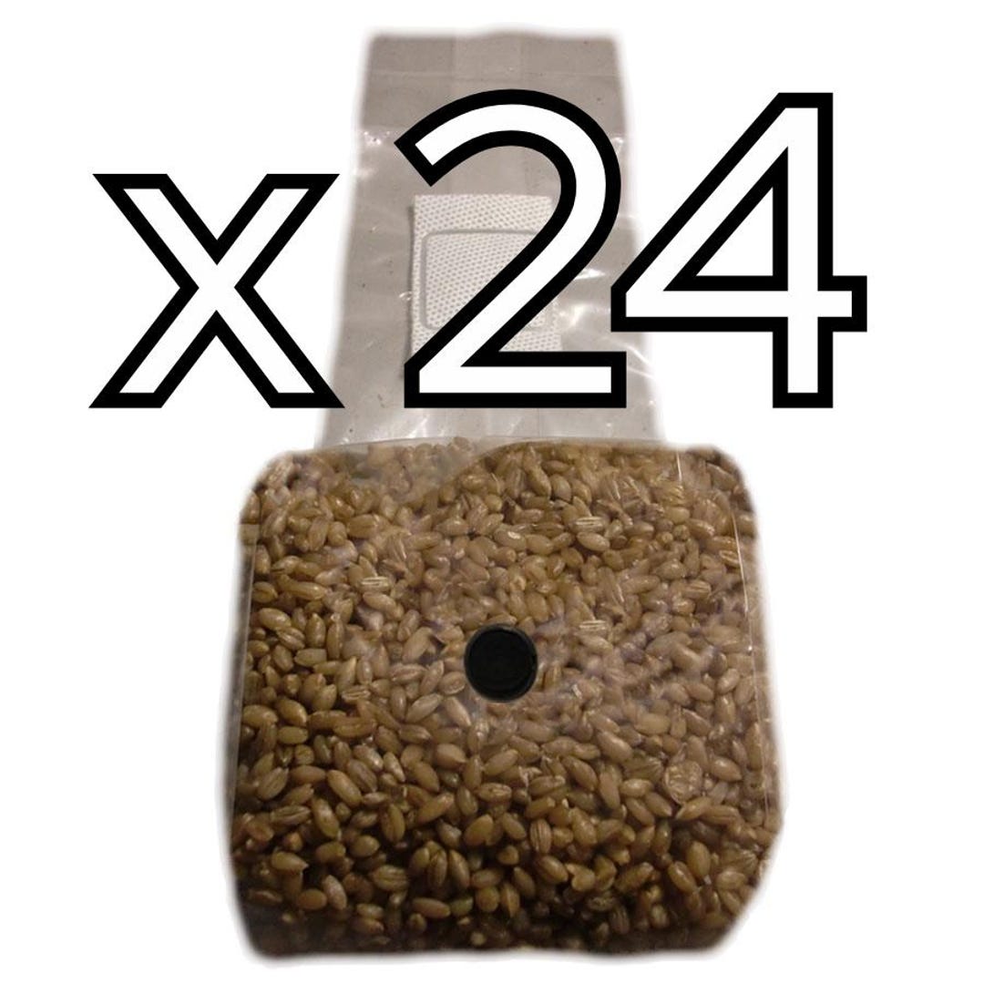 Sterilized Rye Berries - Grain Spawn - 24 Lbs. (twenty Four 1 Lb. Bags ...