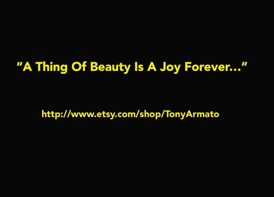 SHELL MIRRORS Custom Made & Designed to Your Size Color | Etsy