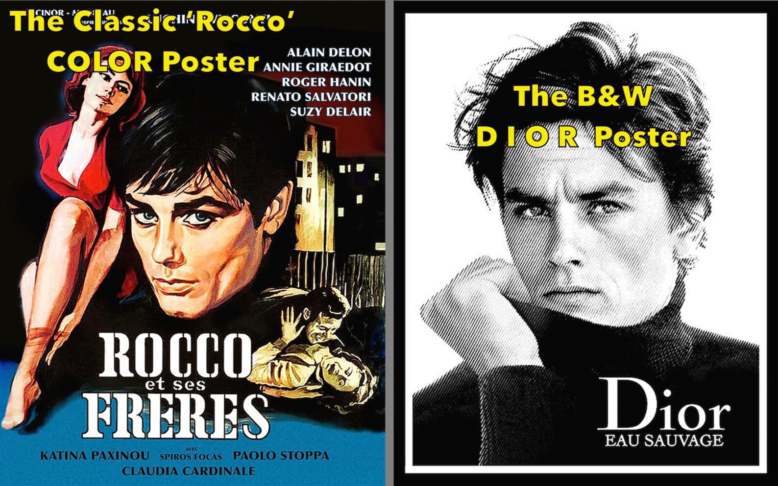 ALAIN DELON Classic Portrait & Poster Reproductions / | Etsy