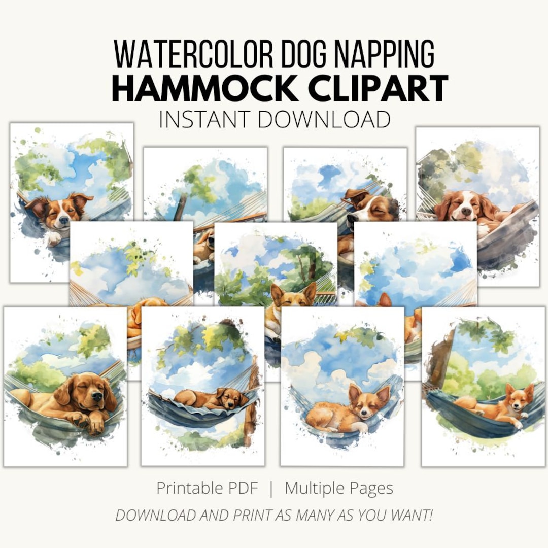Watercolor Dog Napping in Hammock Clipart Blue Background PNG - Etsy