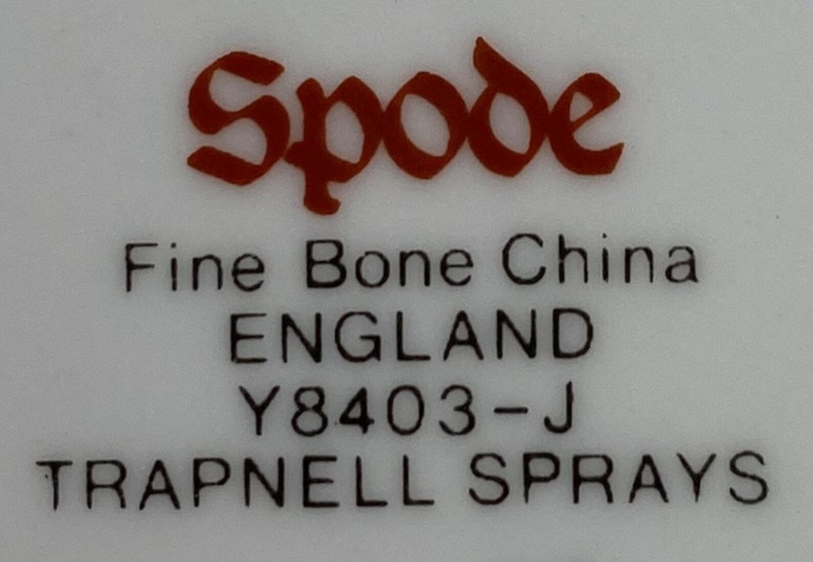 Spode Trapnell Sprays Y8403 Dinner Plate - Etsy