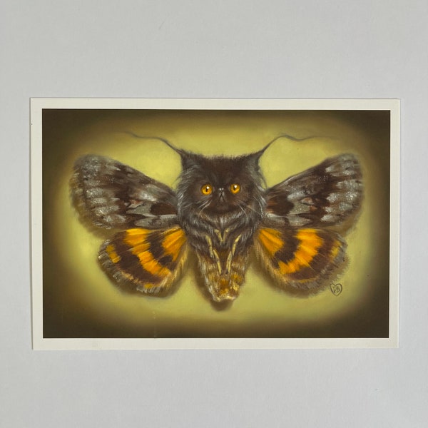 dustinbailard - Etsy