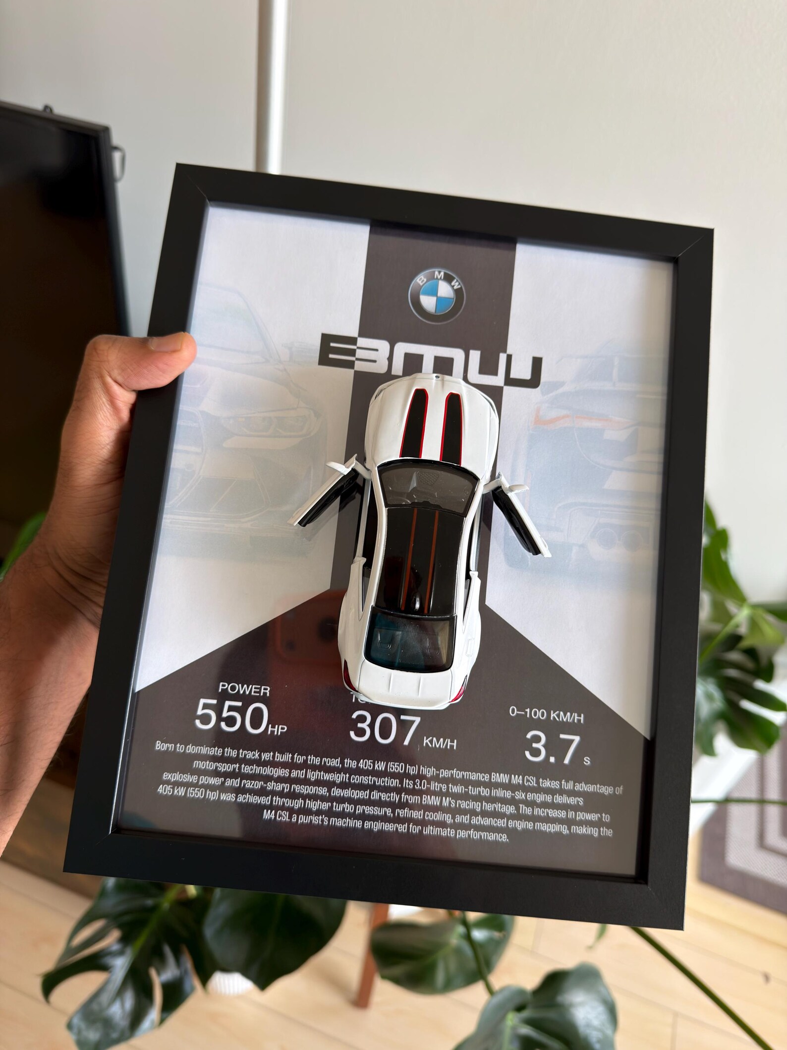 BMW Diecast Frame | 8x10 | Supercar Decor | Car Enthusiast Gift - Etsy