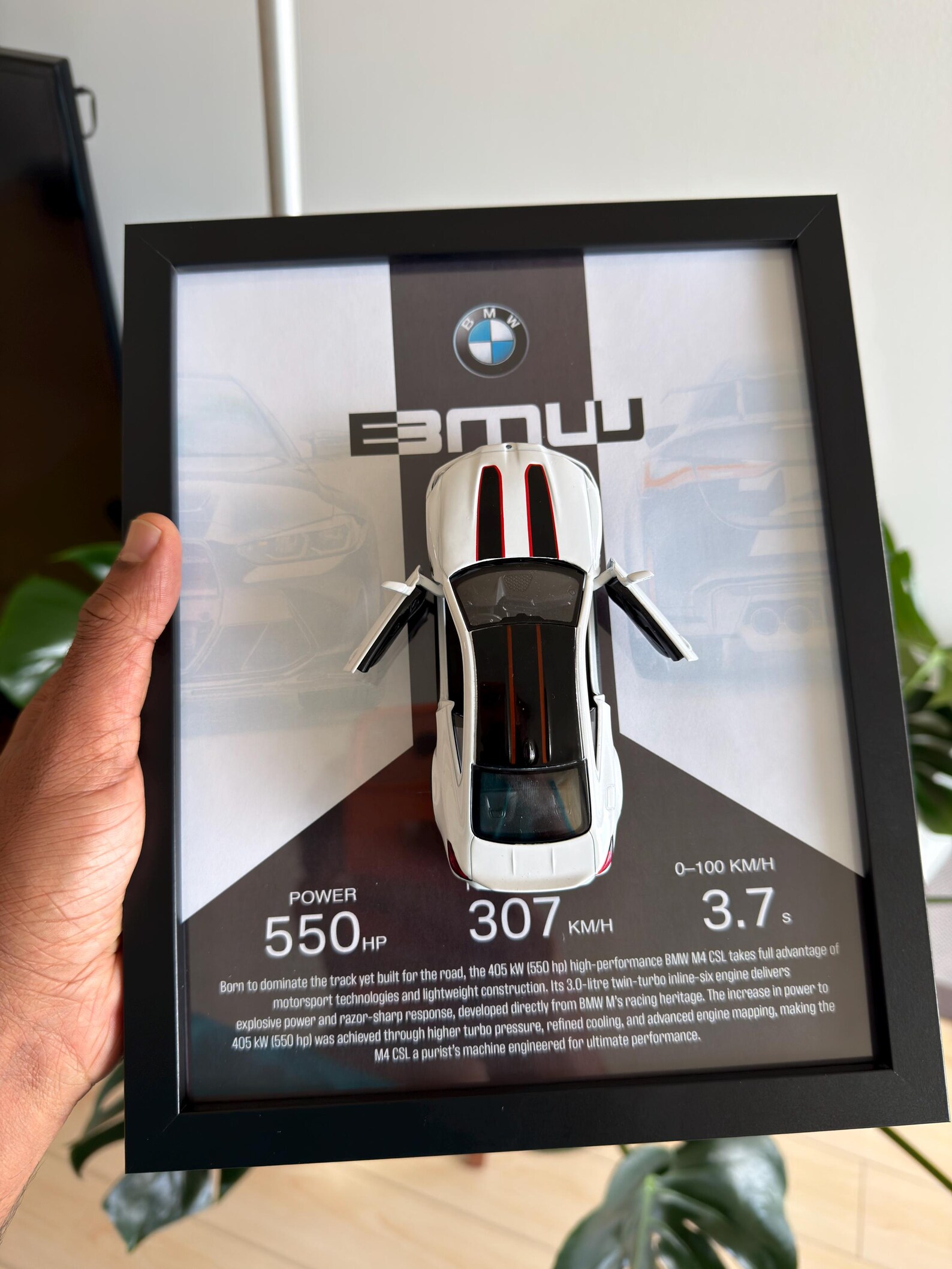 BMW Diecast Frame | 8x10 | Supercar Decor | Car Enthusiast Gift - Etsy