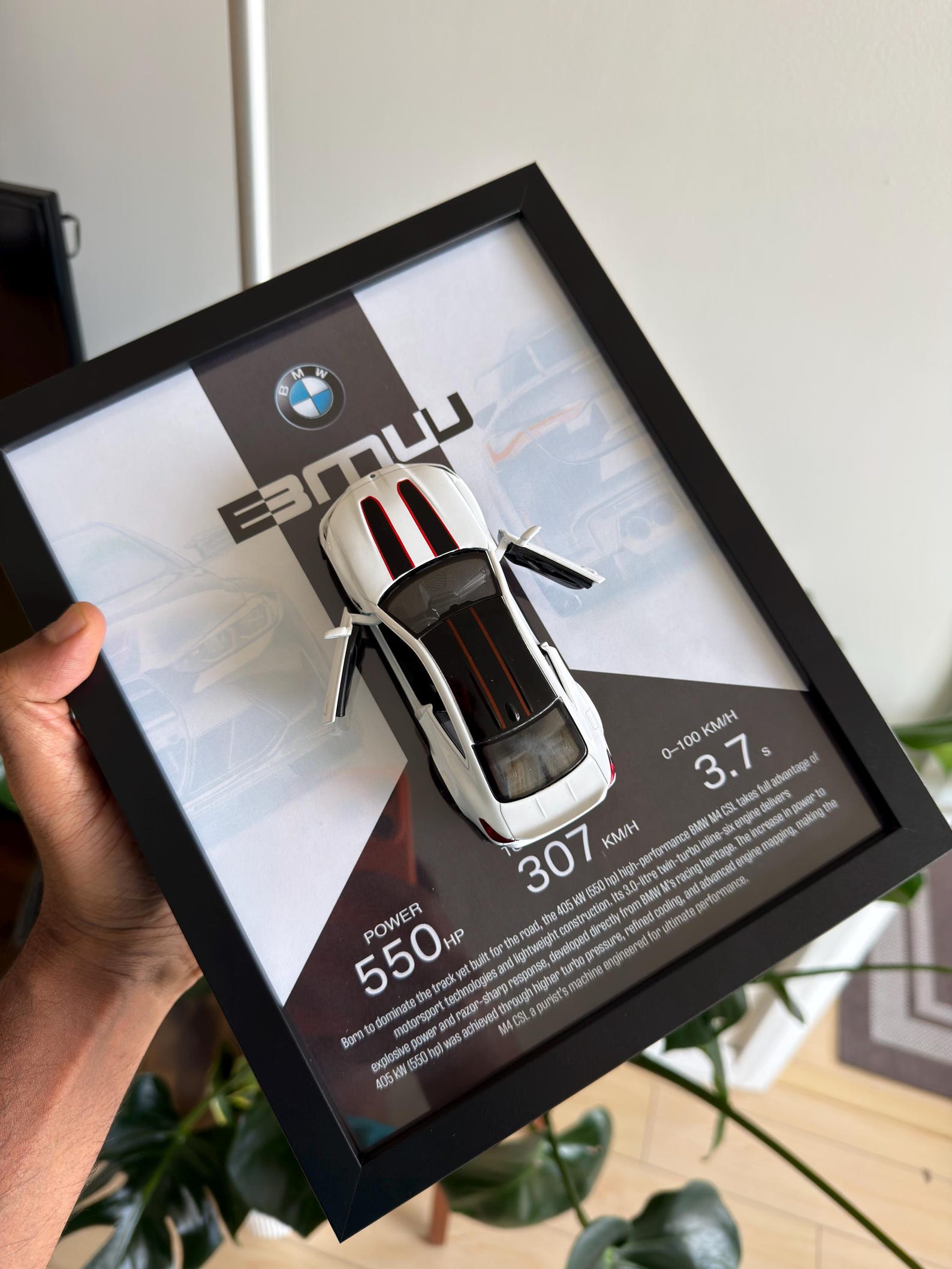 BMW Diecast Frame | 8x10 | Supercar Decor | Car Enthusiast Gift - Etsy
