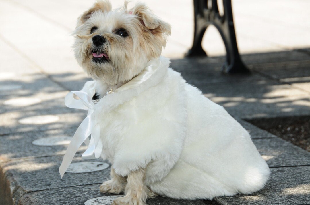 Faux Fur Dog Coat Plush Fur Coat Pet Coat Fancy Dog Coat - Etsy