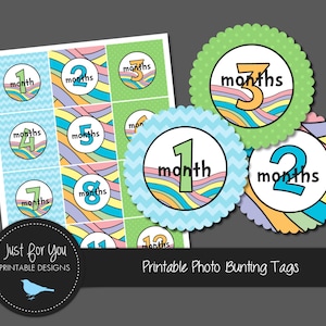 Printable Pastel Rainbow First Year Photo Bunting Banner | Etsy