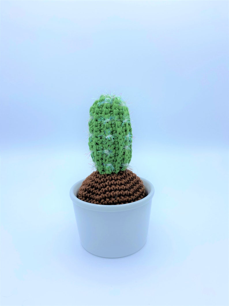 CROCHET KIT - Cactus Plants - Emma Varnam - Etsy UK