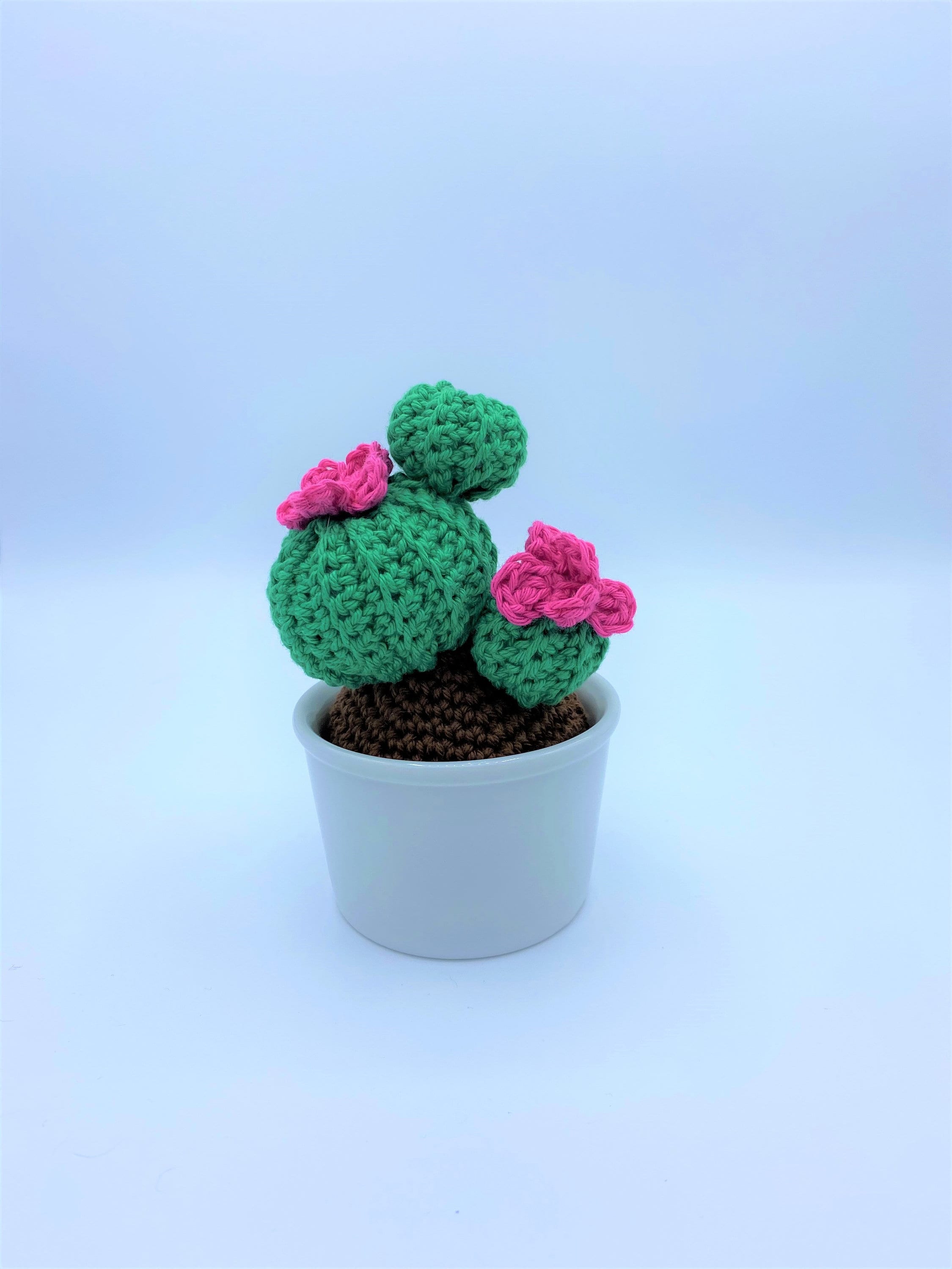 CROCHET KIT - Cactus Plants - Emma Varnam - Etsy UK