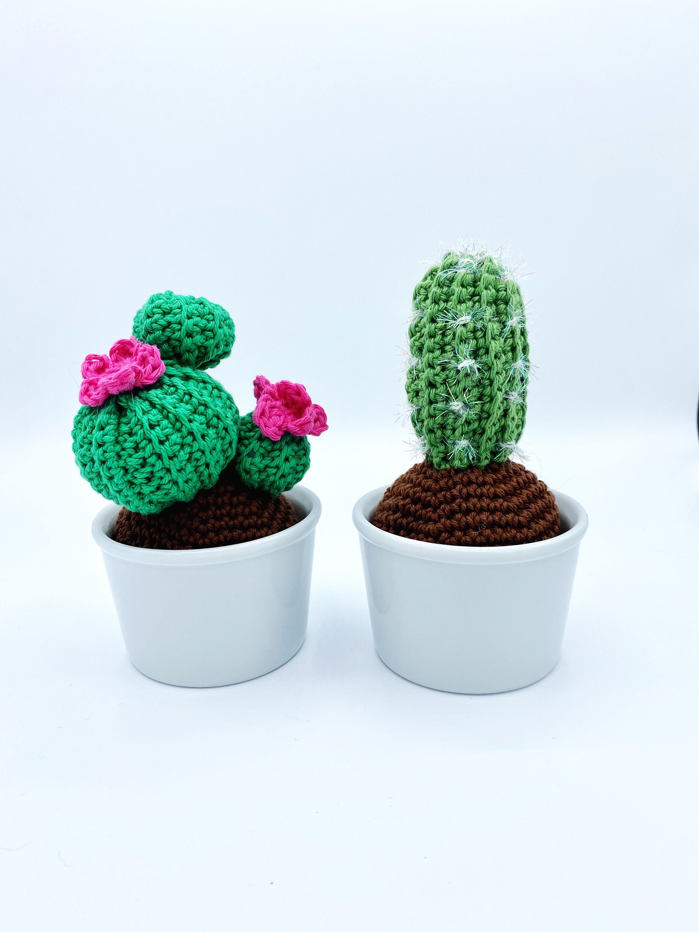 CROCHET KIT - Cactus Plants - Emma Varnam - Etsy UK