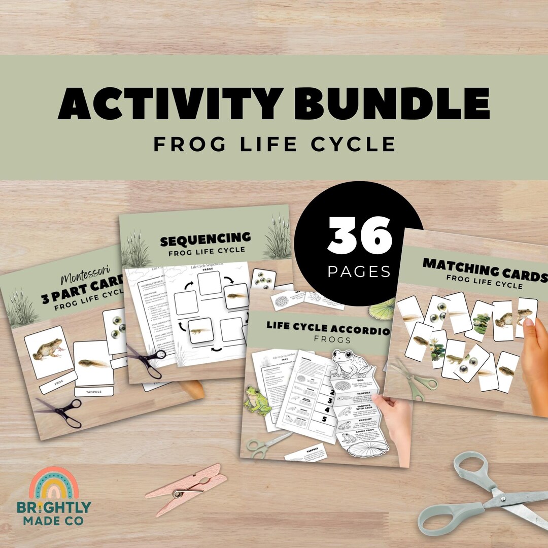 Frog Life Cycle Activities BUNDLE, Amphibian Science Printable ...