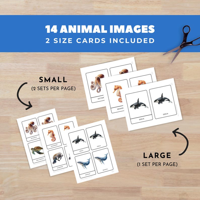 Sea Animals Montessori 3-part Cards, Preschool Vocabulary, Early ...