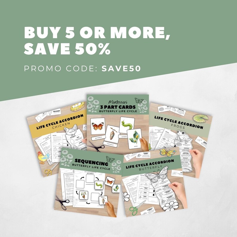 Butterfly Life Cycle Matching Cards, Elementary Biology Activity ...