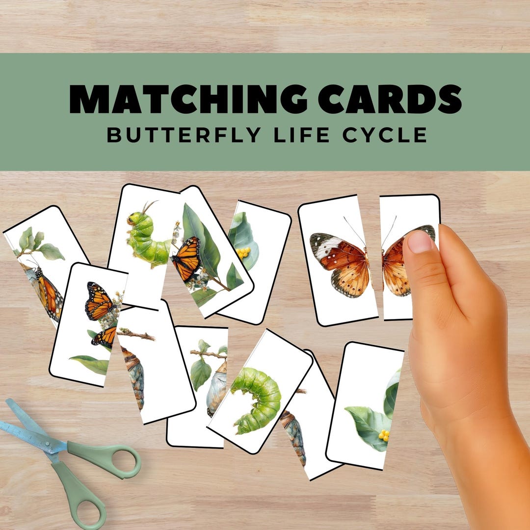 Butterfly Life Cycle Matching Cards, Elementary Biology Activity ...
