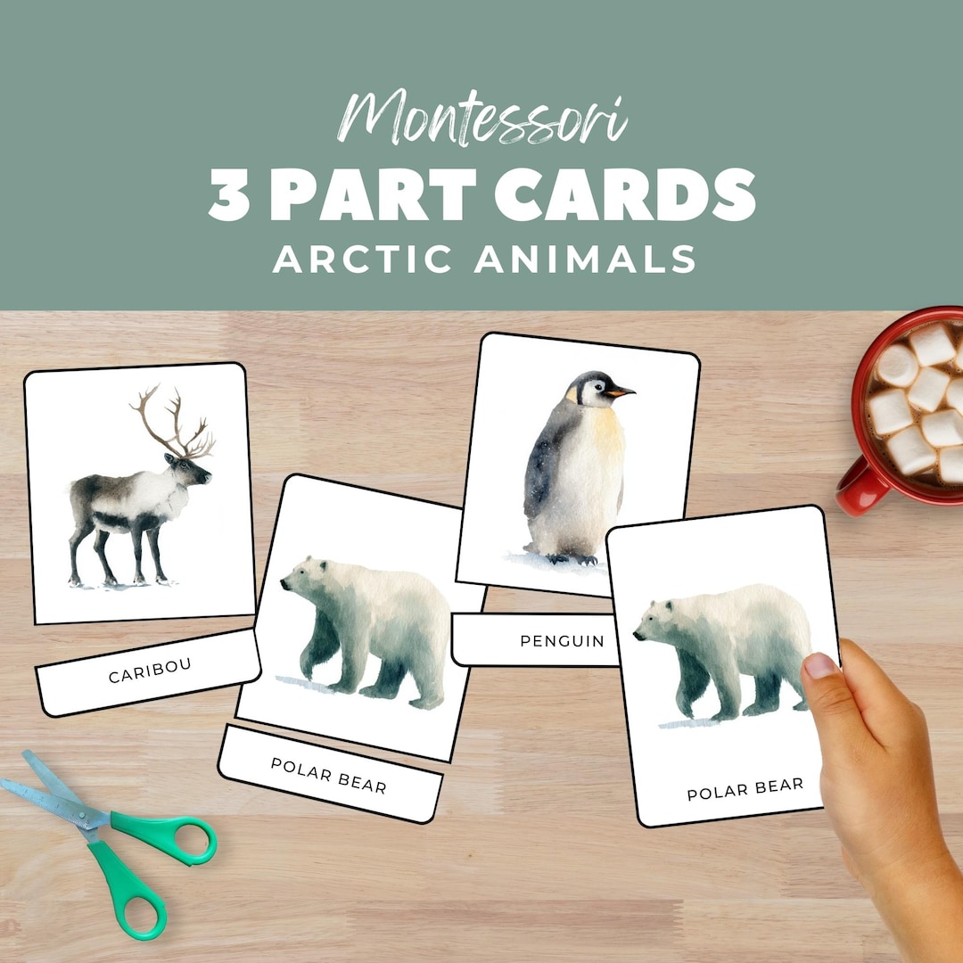 Arctic Animals Montessori 3-part Cards, Preschool Vocabulary, Early ...