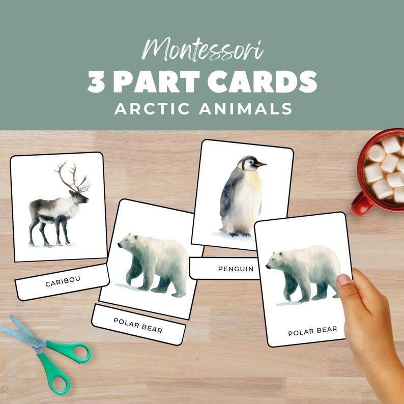 Arctic Animals Montessori 3-part Cards, Preschool Vocabulary, Early ...