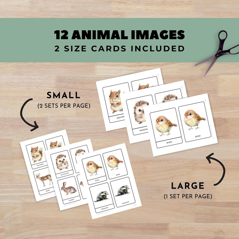 Woodland Creatures Montessori 3-part Cards, Elementary Biology ...