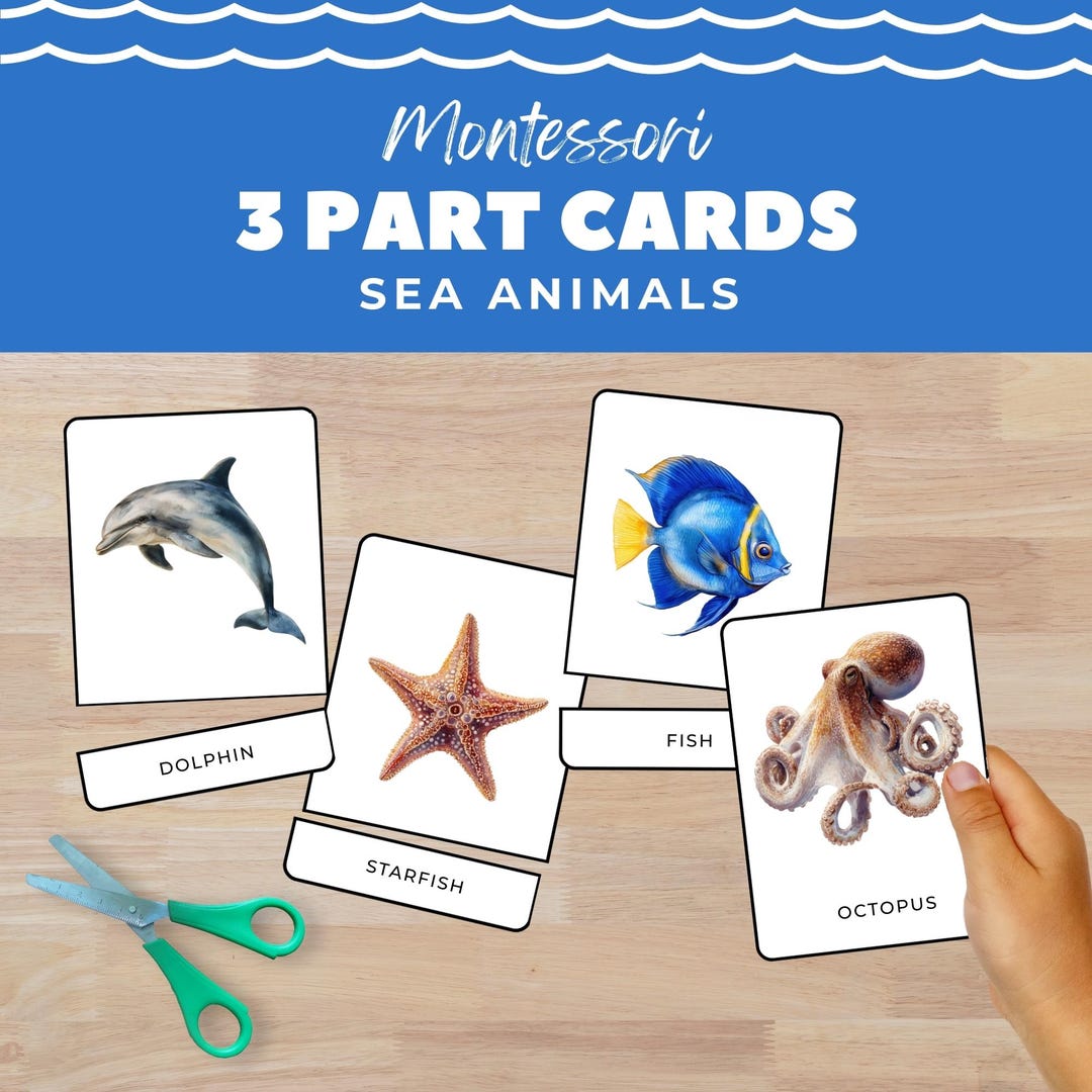 Sea Animals Montessori 3-part Cards, Preschool Vocabulary, Early ...