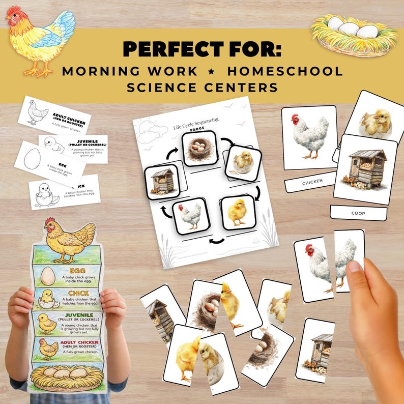 Chicken Life Cycle Activities BUNDLE, Birds Science Printable ...