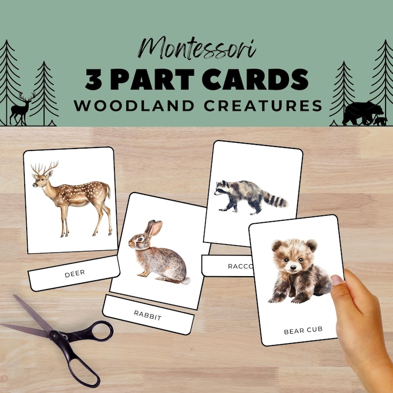 Woodland Creatures Montessori 3-part Cards, Elementary Biology ...