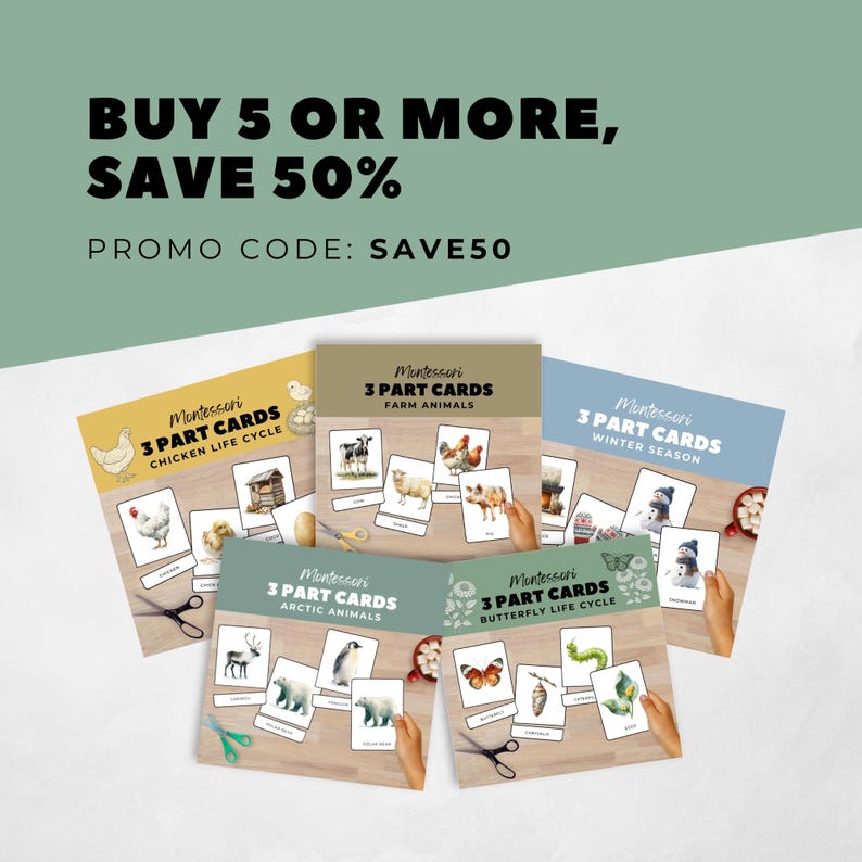 Woodland Creatures Montessori 3-part Cards, Elementary Biology ...